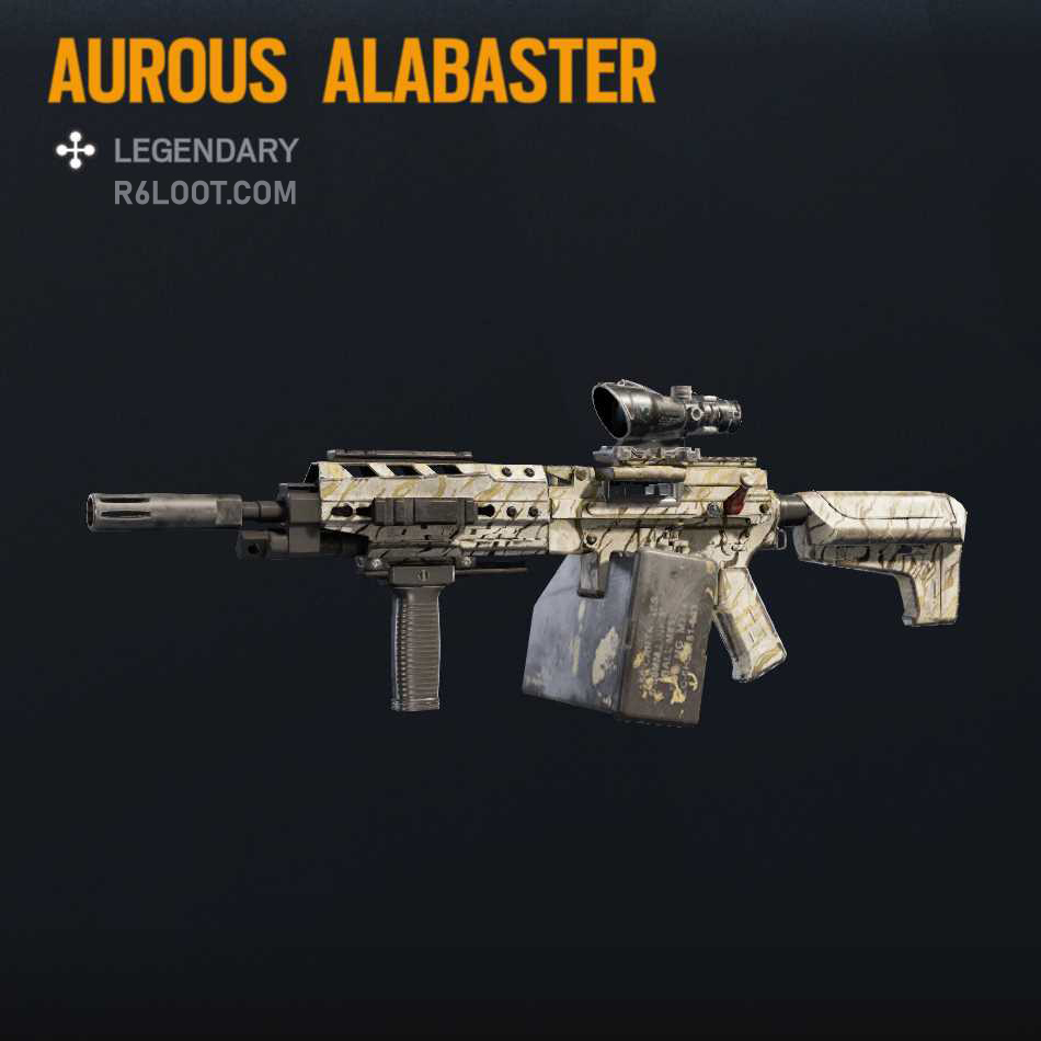 Do you wanna see this god awful LMG on a year 6 attacker? yes or no ...